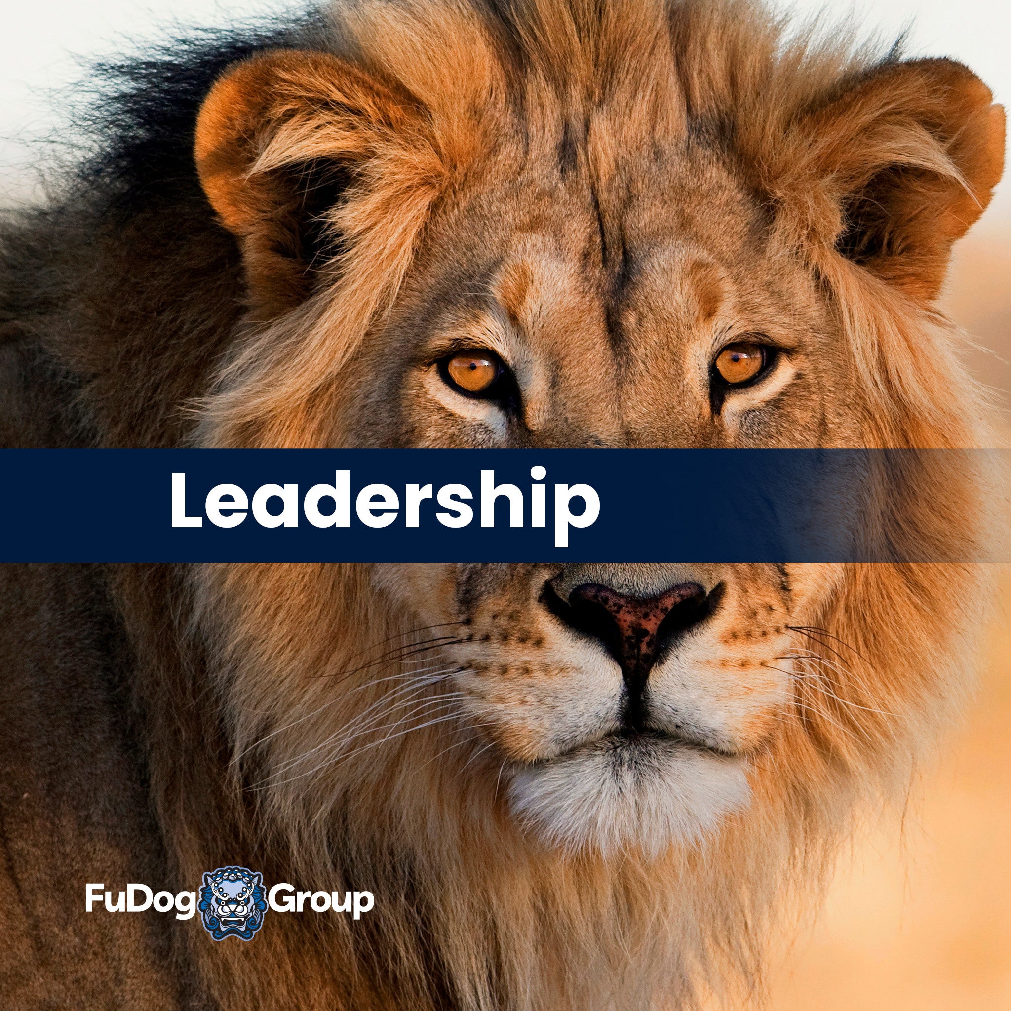 Leadership – FuDog Store